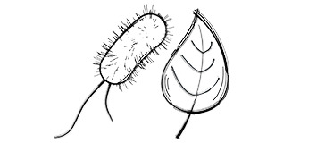 Biotechnology | Labom GmbH